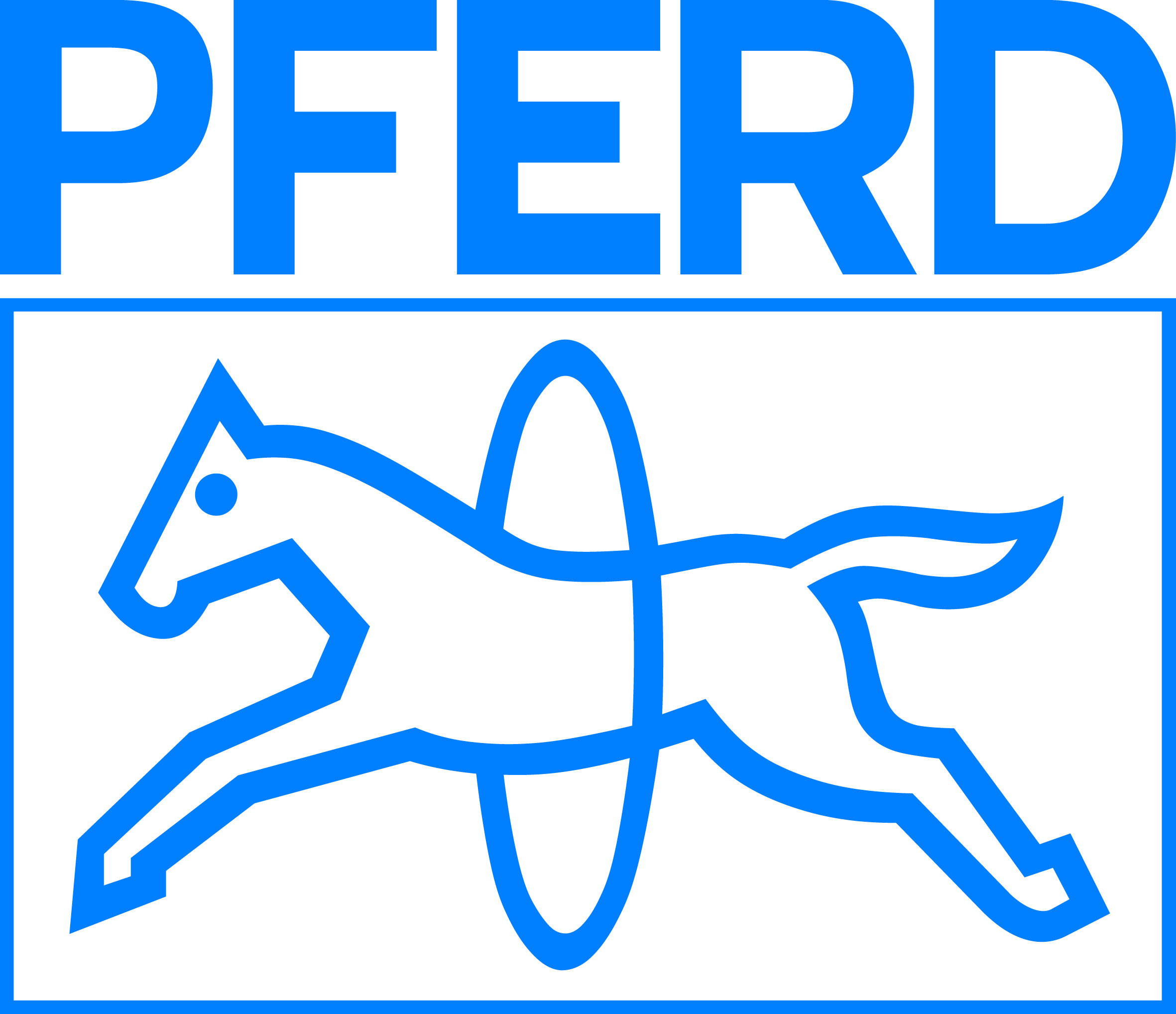 PFERD : Maxoutil, vente en ligne équipement et outillage PFERD
